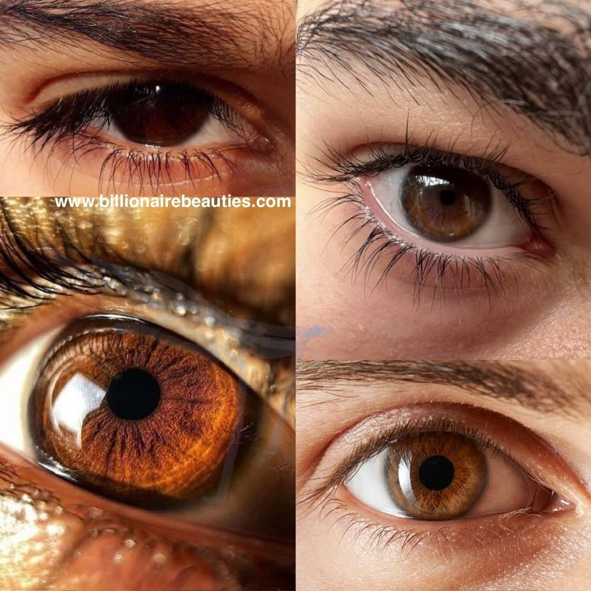 Amber Eyes: Rare Eye Color, Meaning & Contact Lens Match – Billionaire ...