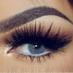 SOLOTICA CONTACT LENSES HIDROCOR GRAFITE – Billionaire Beauties