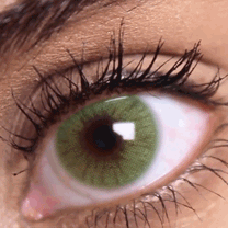 Solotica Hidrocor Rio Búzios – Vivid Green Contact Lenses Inspired by ...